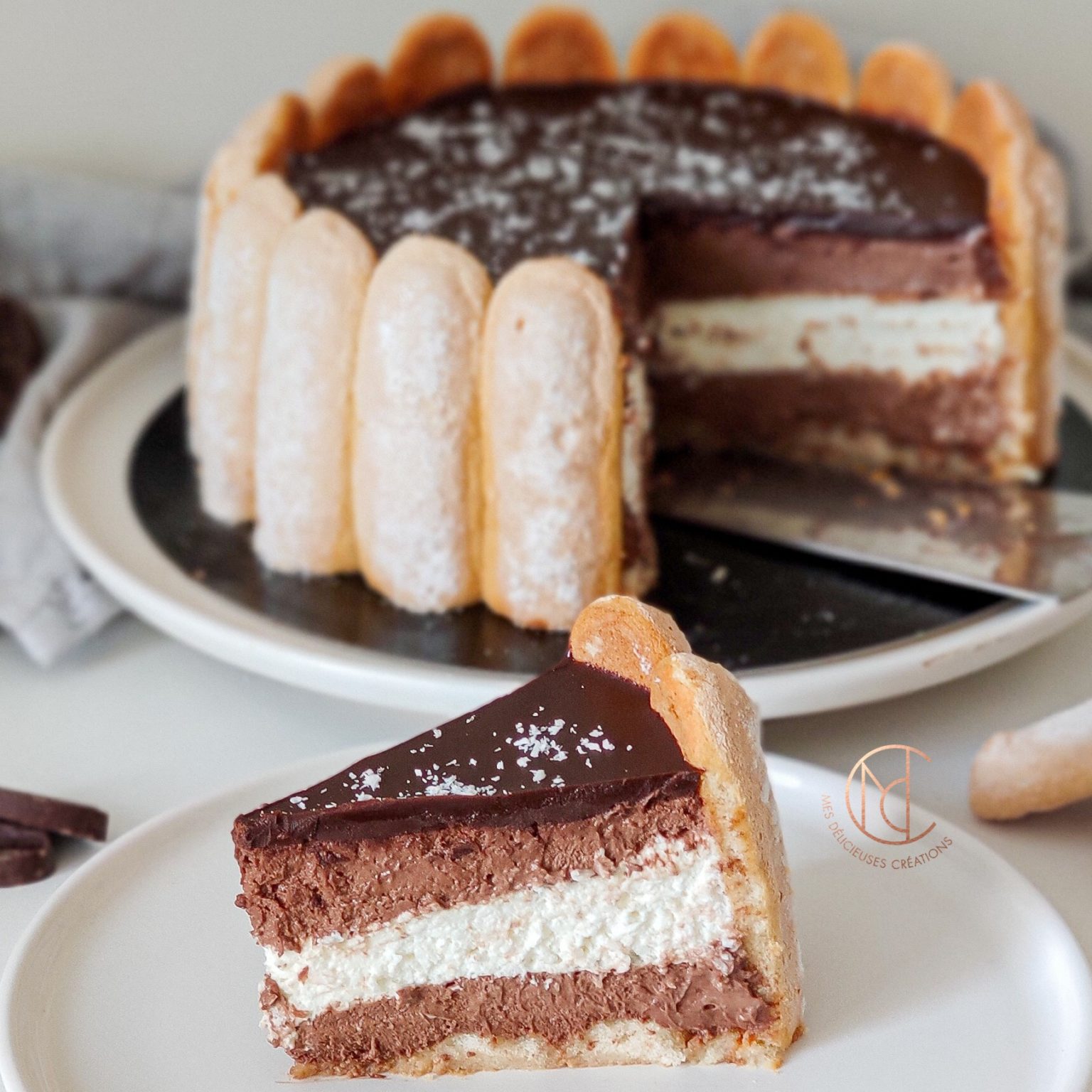 Charlotte mousse choco coco - Mes Délicieuses Créations